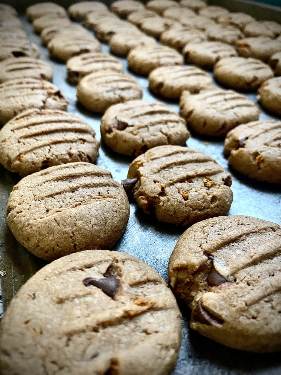 Biscoff Bites – The Gingerbread Lady Bakery